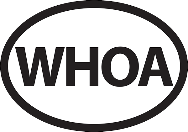 WHOA Euro Magnet – magneticpoetry.com